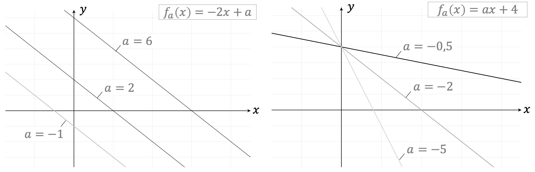Funktionsschar untersuchen inkl. Lernvideos - StudyHelp