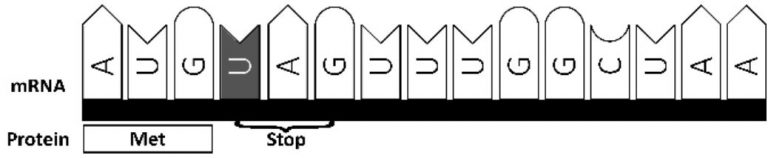 Mutation vollständig erklärt - StudyHelp Online-Lernen Biologie