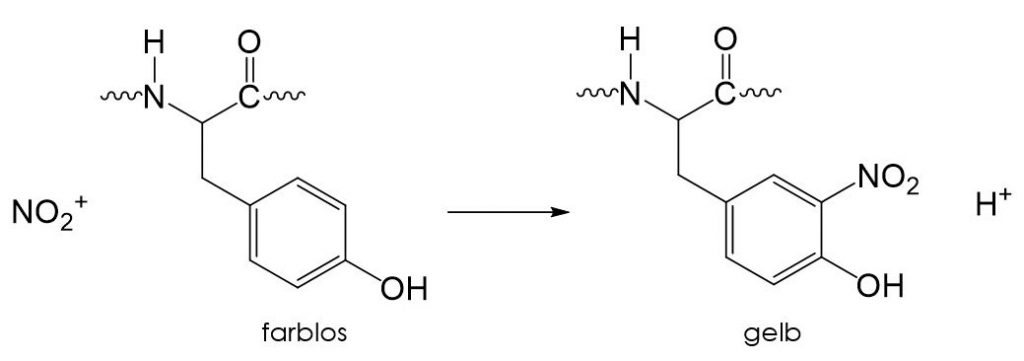 Das Protein - Chemische Eigenschaften - StudyHelp Online-Lernen
